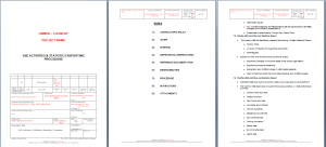 HSE Activities & Statistics Reporting Procedure Template for ...